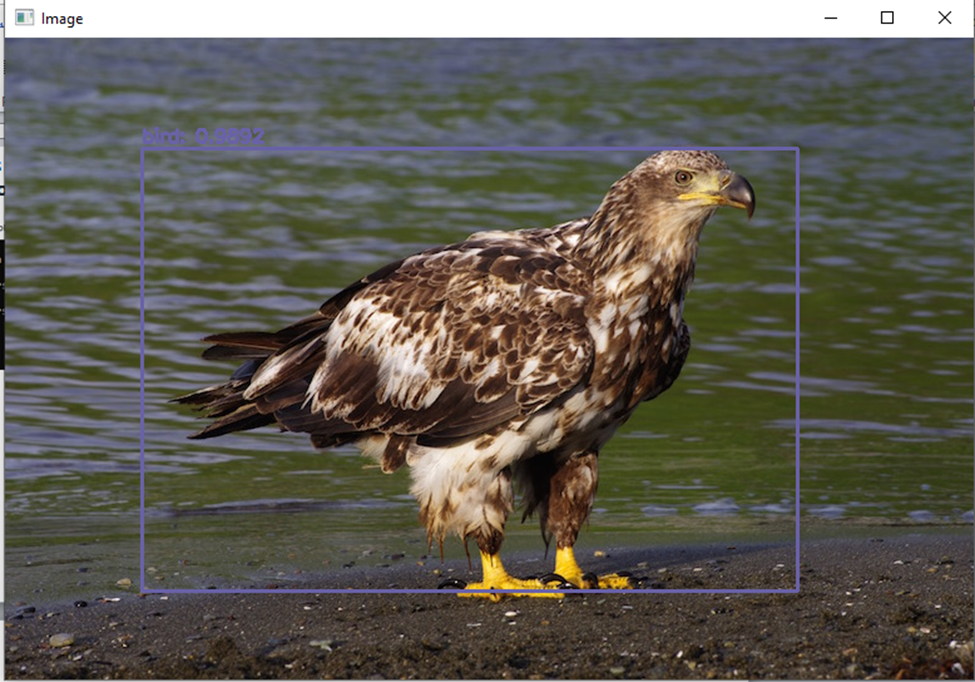 GitHub - PaVaNTrIpAtHi/Detecting-custom-objects-in-an-image-video-using-YOLO-V3: YOLO is the ...