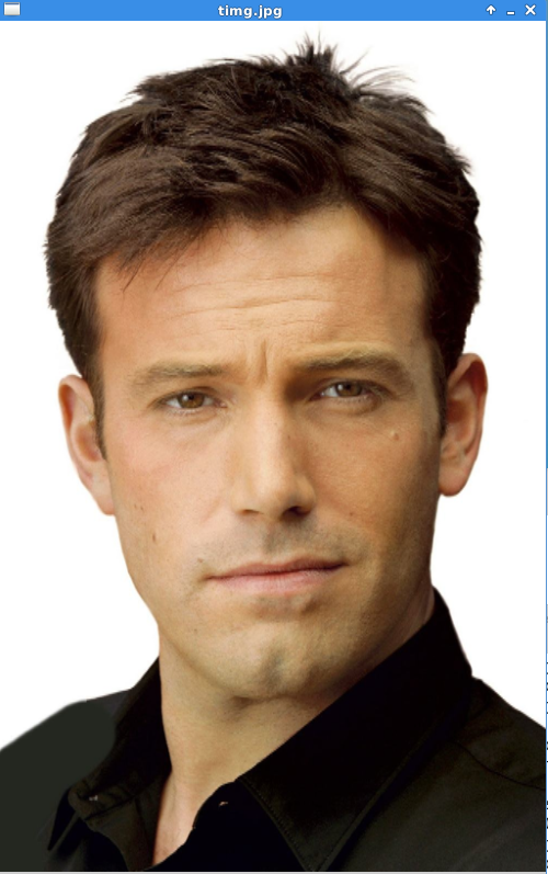 Same model with c_predict_api gets an incorrect result but it is right in python. · Issue #11242 ...