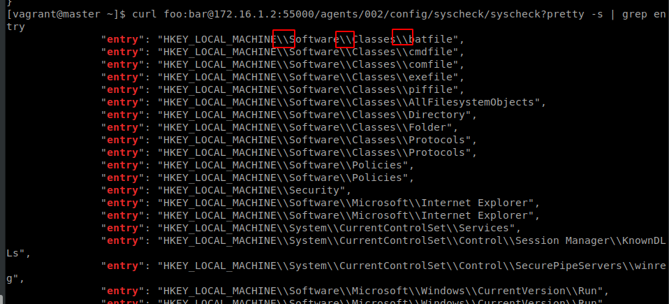 JSON viewer of the Windows Agents Configuration does not format Windows directories well in ...