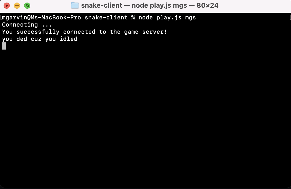 GitHub - MGS31/snake-client