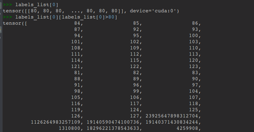 RuntimeError: target.max().item ()