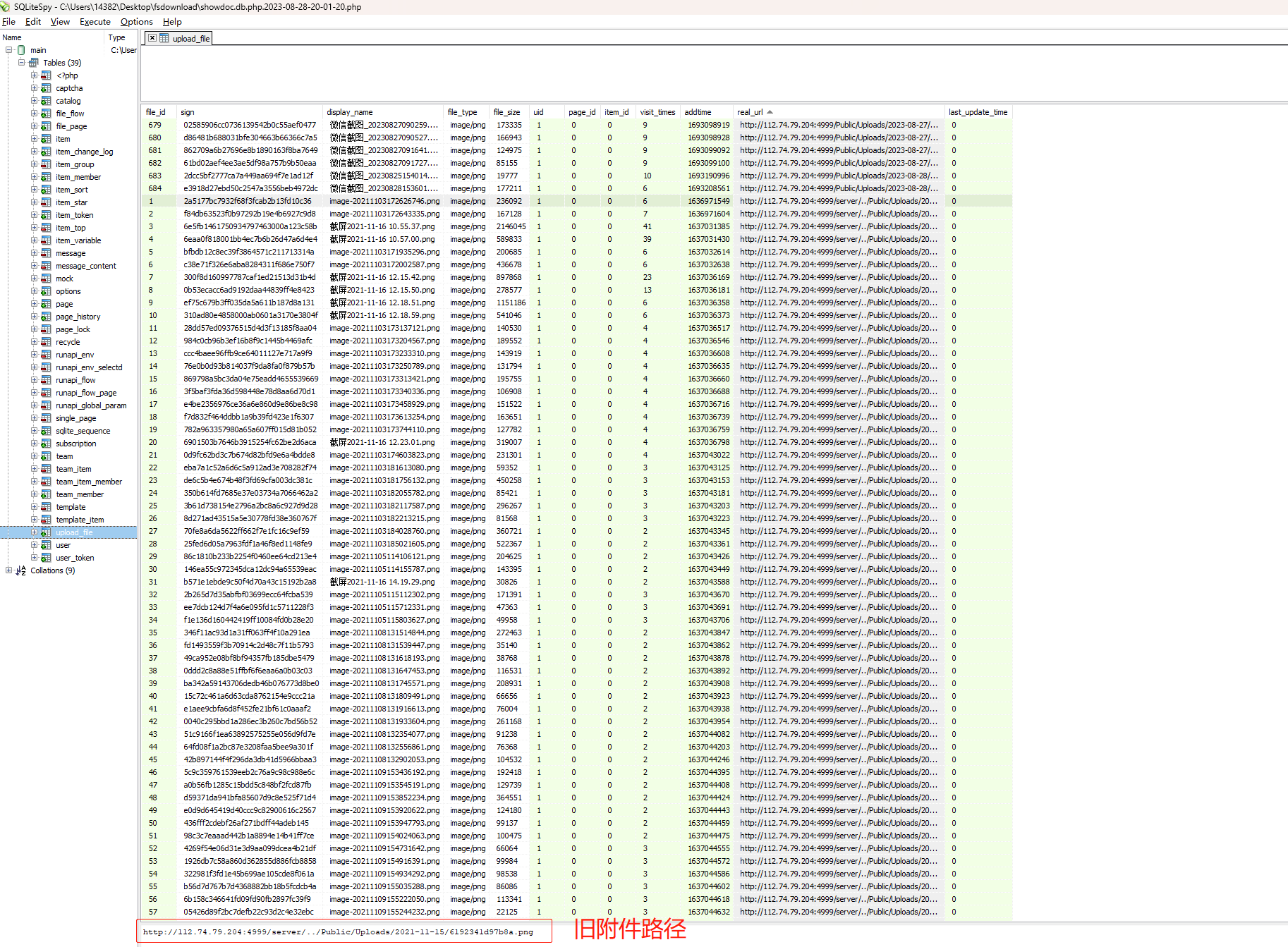 docker安装方式升级后部分目录和页面丢失 · Issue #2042 · star7th/showdoc · GitHub