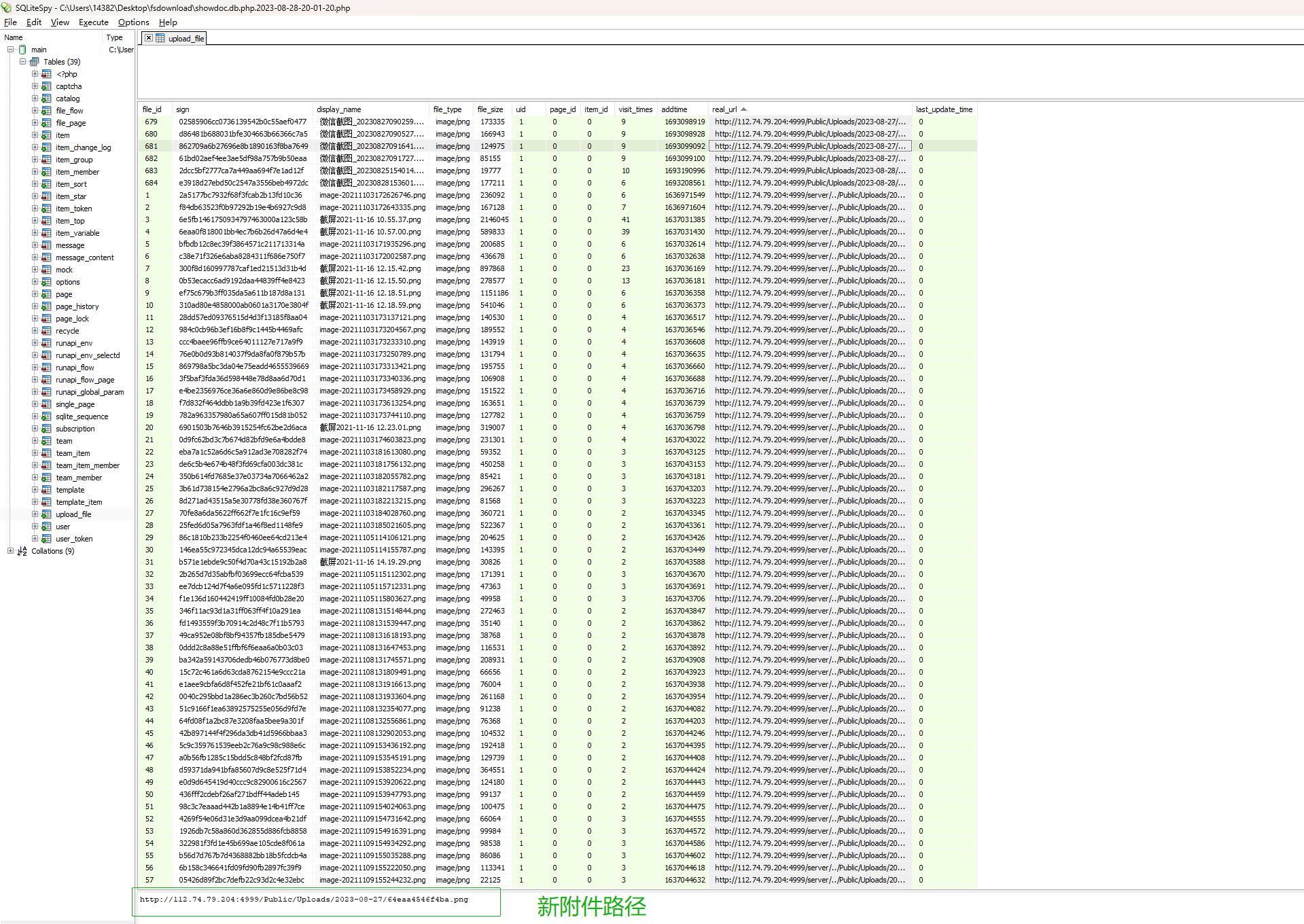 docker安装方式升级后部分目录和页面丢失 · Issue #2042 · star7th/showdoc · GitHub
