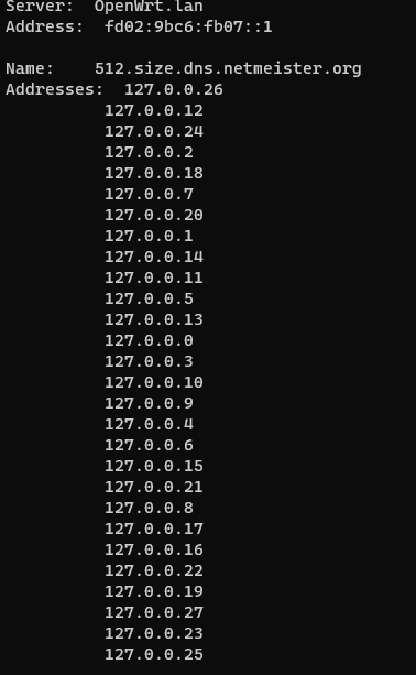 Failed to resolve specific DNS request with OpenWrt 22.03 · Issue #12257 · openwrt/openwrt · GitHub