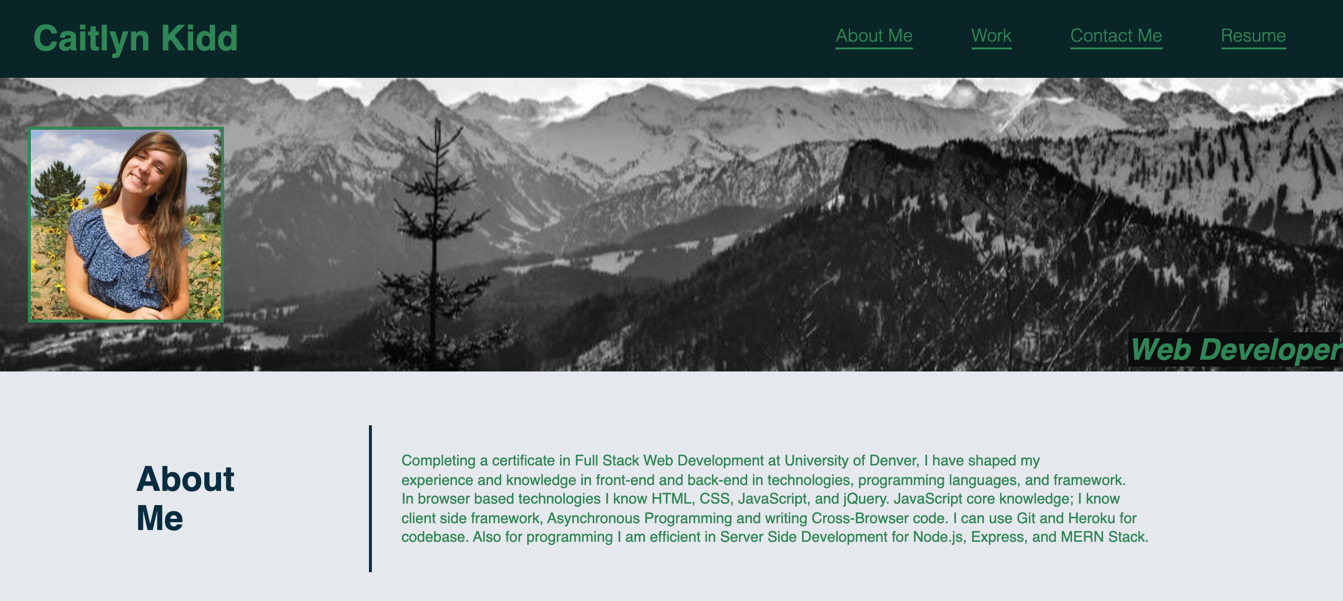 GitHub - CaitKidd/UpdatedPortforlio