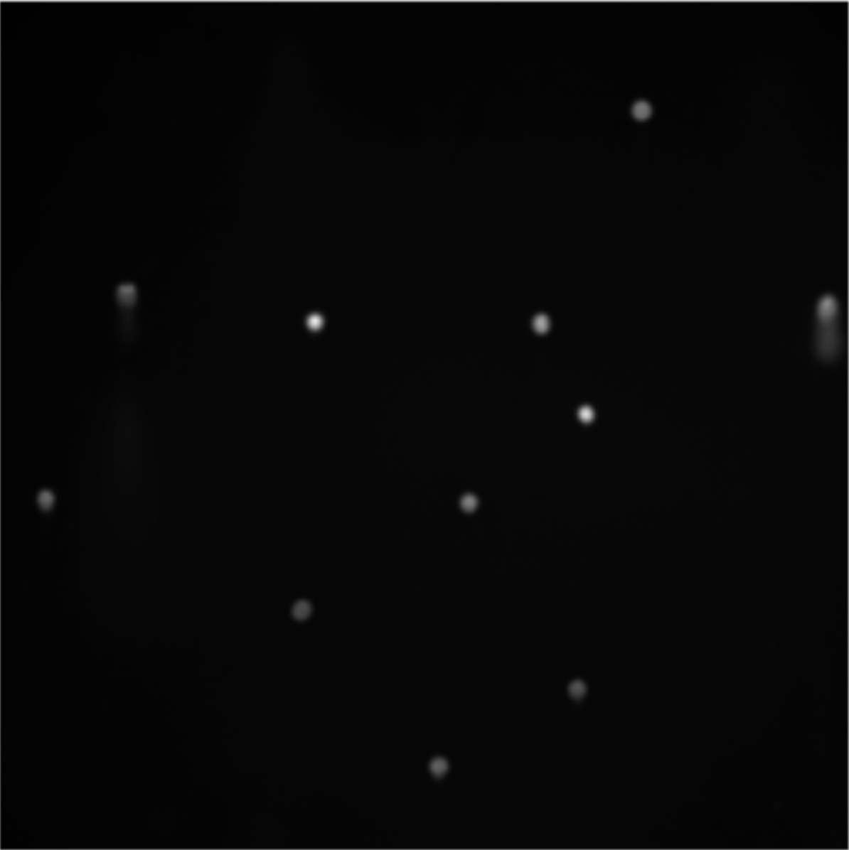 GitHub - finkbeiner-lab/AutoComet: Comet Assay