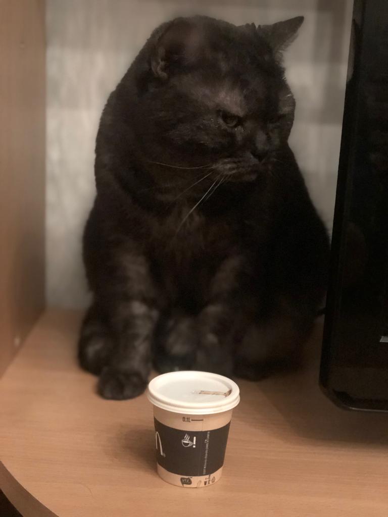 GitHub - Vakhnovetsky/ImgConverter: Редактор изображений