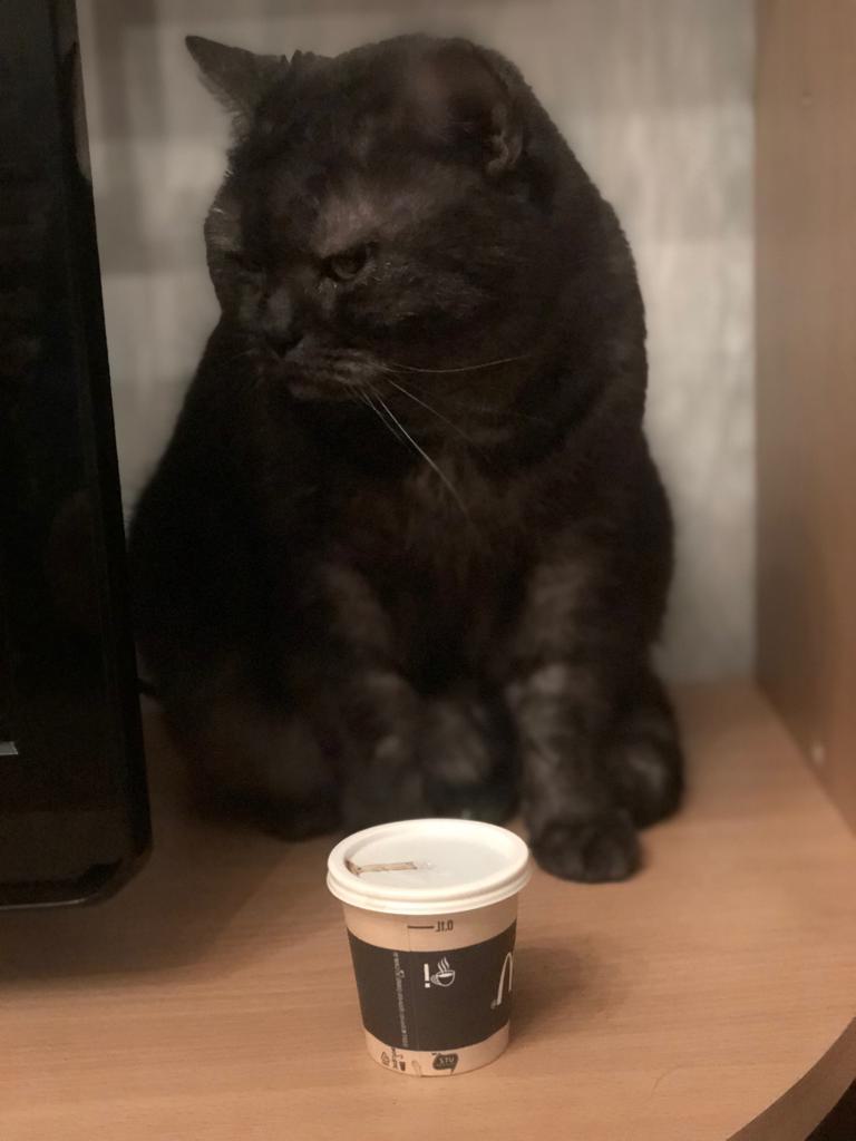 GitHub - Vakhnovetsky/ImgConverter: Редактор изображений