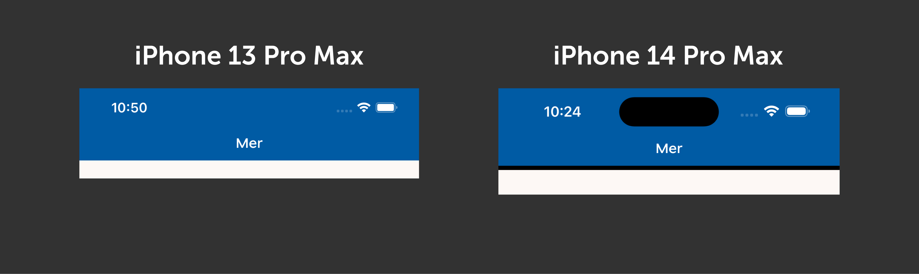 Gap Between Uinavigationbar And Viewcontroller On Iphone 14 Pro Max · Issue 518 · Leonatan