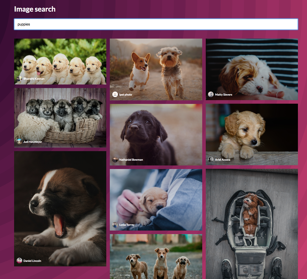 GitHub - christinaluna/react-images: Simple image search using Unsplash API