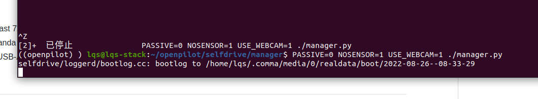 webcam not working properly · Issue #25557 · commaai/openpilot · GitHub