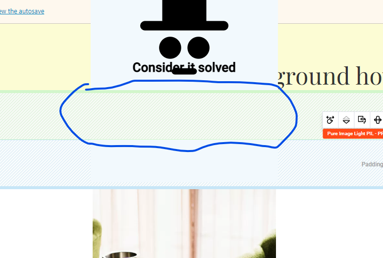 Margin indicator is overlapping elements · Issue #4377 · maxi-blocks ...