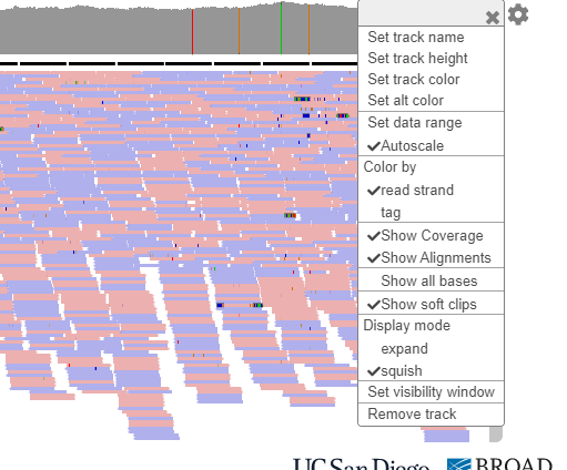 Request to control alleleFreqThreshold via UI bam/track settings · Issue #1286 · igvteam/igv.js ...