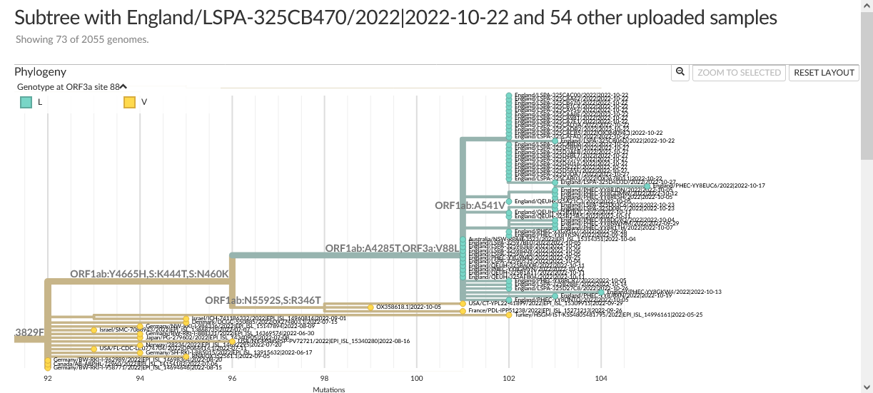 Potential BQ.1 sublineage with ORF1a:A4285T and ORF3a:V88L (57 good seqs as of 2022-11-10; UK ...