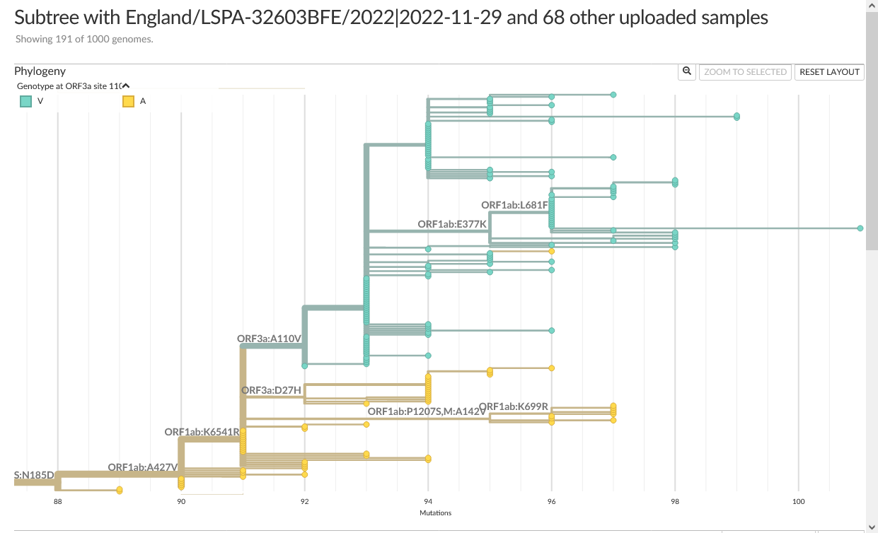 CH.1.1.1 sublineage with ORF1a:A427V, ORF1b:K2140R, and ORF3a:A110V (497 good and 546 total seqs ...