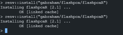 R package from github subdirectory not cached properly. · Issue #913 ...