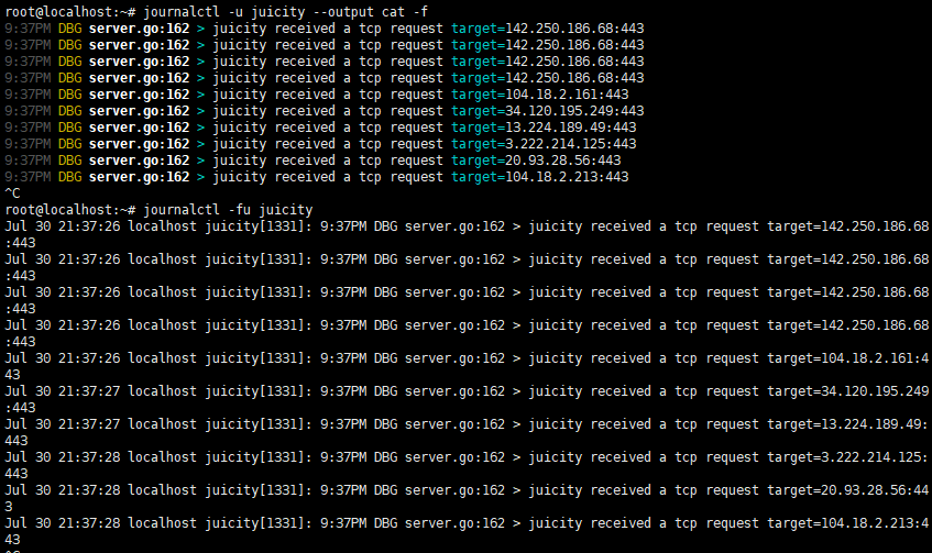 希望改进当服务端 log 使用 info 时，用 journalctl -u juicity --output cat -f 查看输出日志时的显示内容 · Issue #28 ...