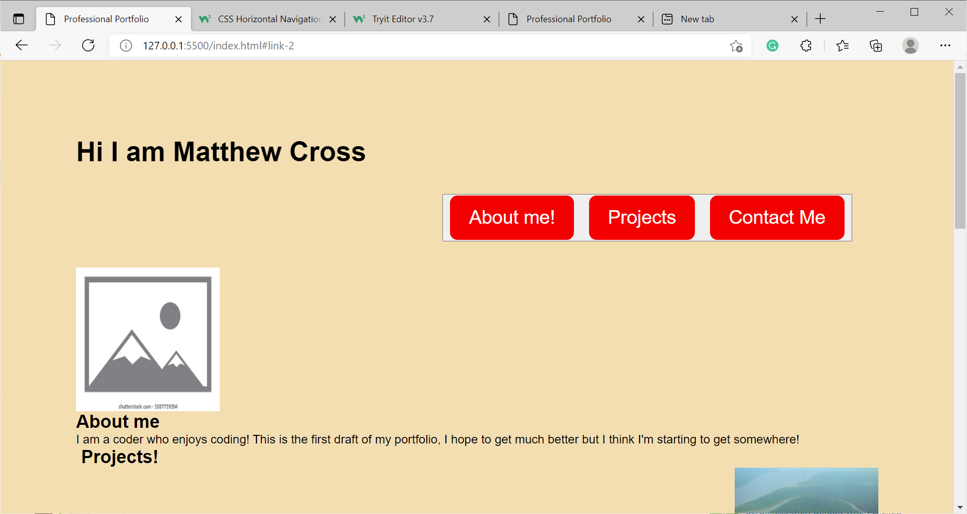 GitHub - matt-cross23/Professional-Portfolio
