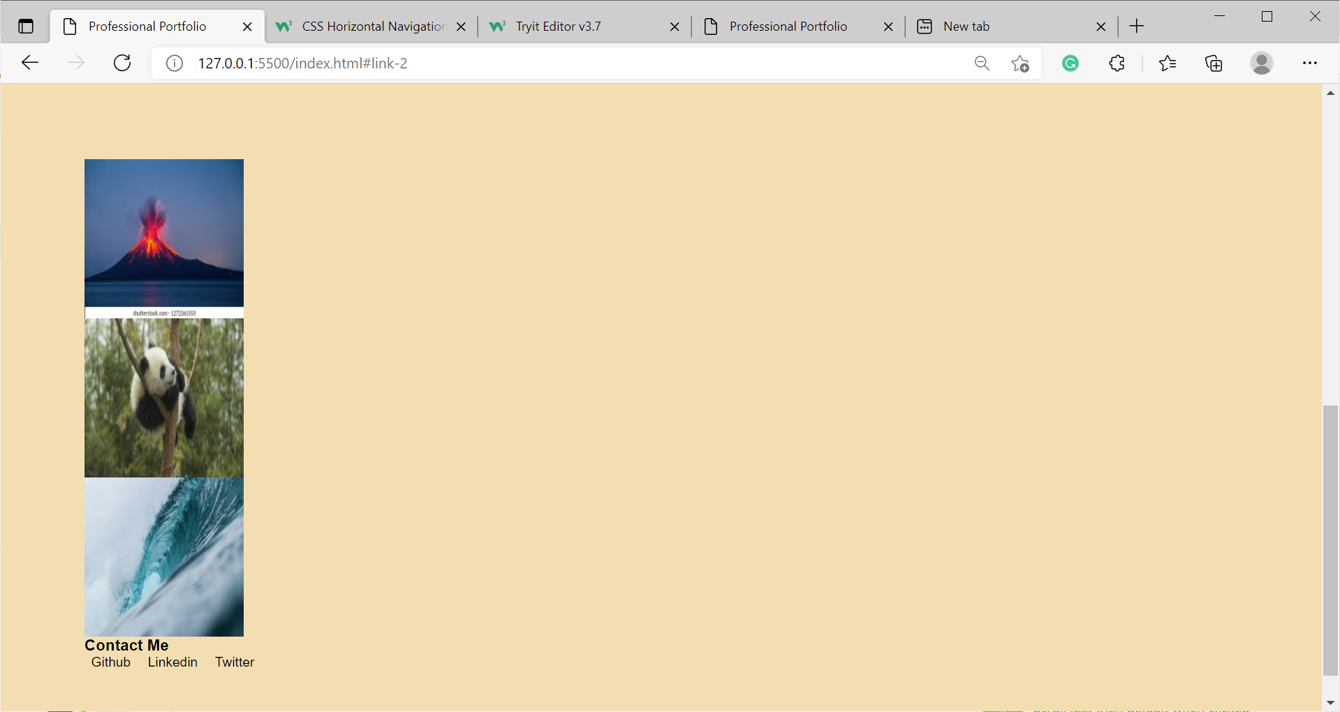 GitHub - matt-cross23/Professional-Portfolio