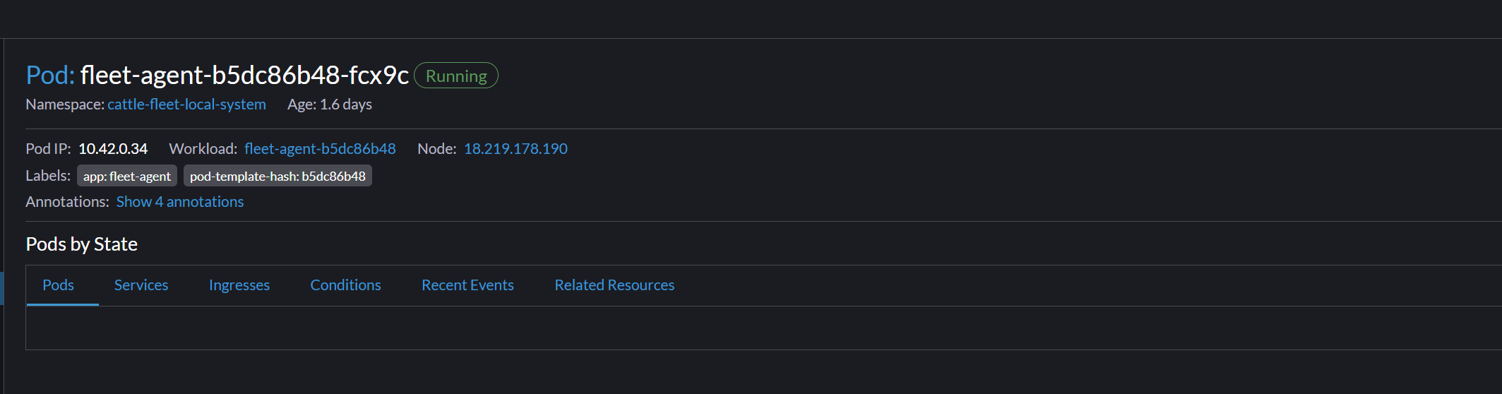 Detail page for Pods uses detail page for Workloads · Issue #6842 · rancher/dashboard · GitHub