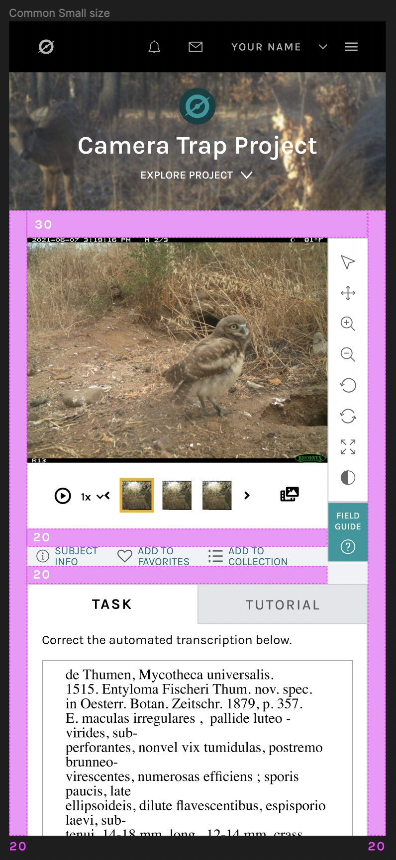 Increase page margin to 20px on Classify page - Small breakpoint · Issue #4183 · zooniverse ...