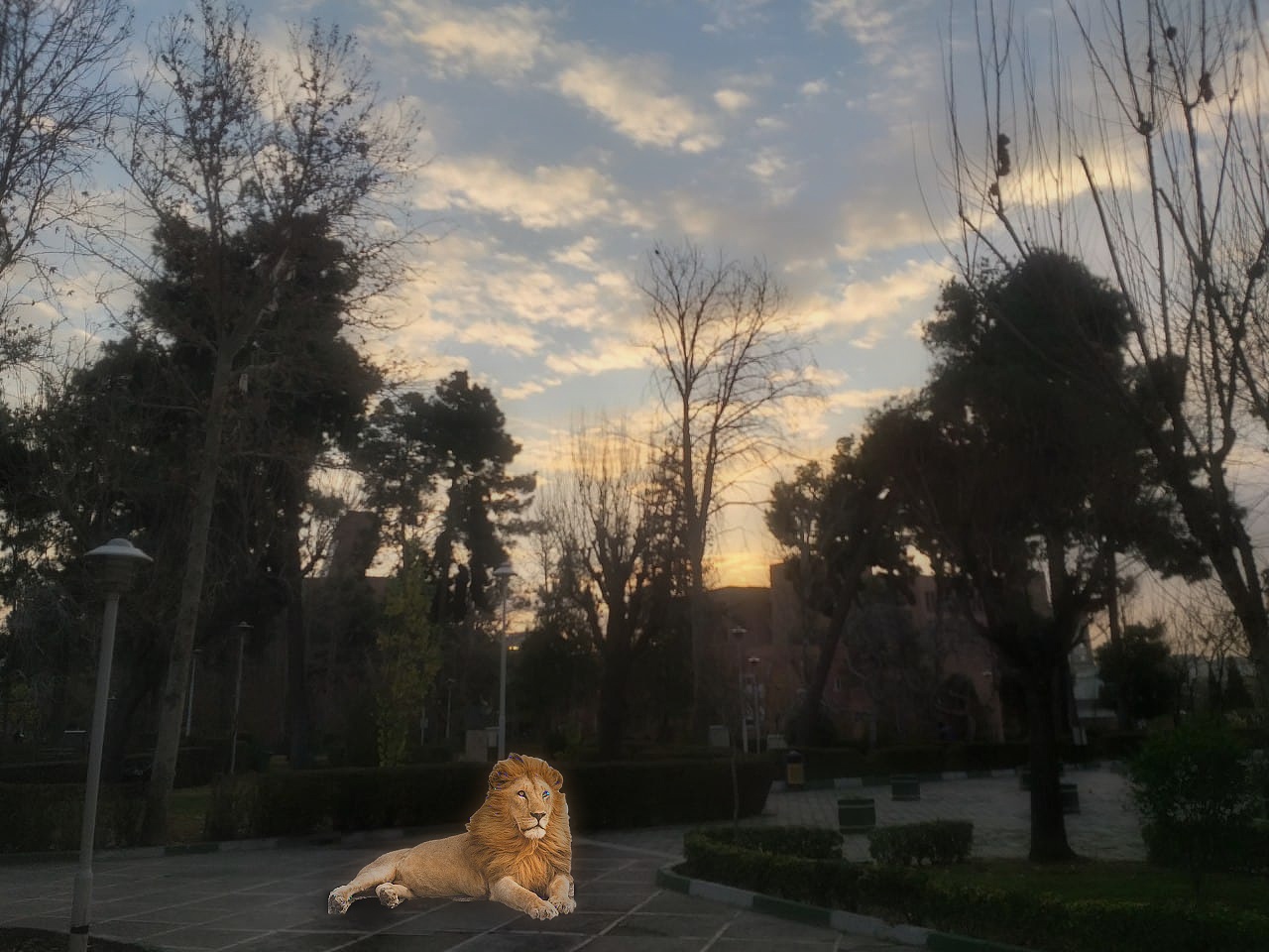 GitHub - arhp78/Image-processing--Pyramid-Blending-and-Feathering