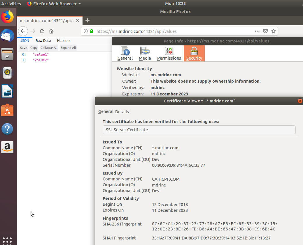 Net Core 21x 22x Wildcard Certificate Handling Issue · Issue 28186 · Dotnetruntime · Github