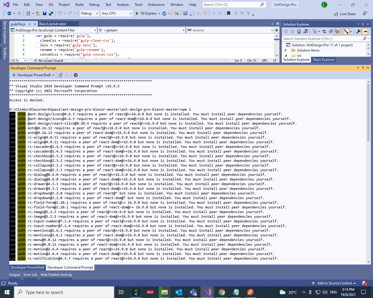 unable to add imports using statement in Basic Layout razor Page ...