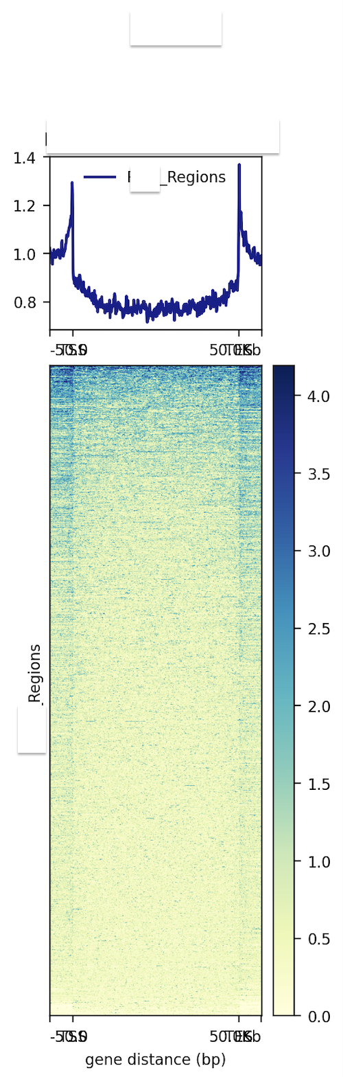 Strange Y-axis for DNA methylation in plotHeatmap · Issue #1113 · deeptools/deepTools · GitHub