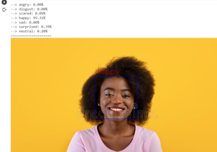 GitHub - syed-rayyanadil/Emotion-Detection: Facial Emotion Recognition using Deep Learning