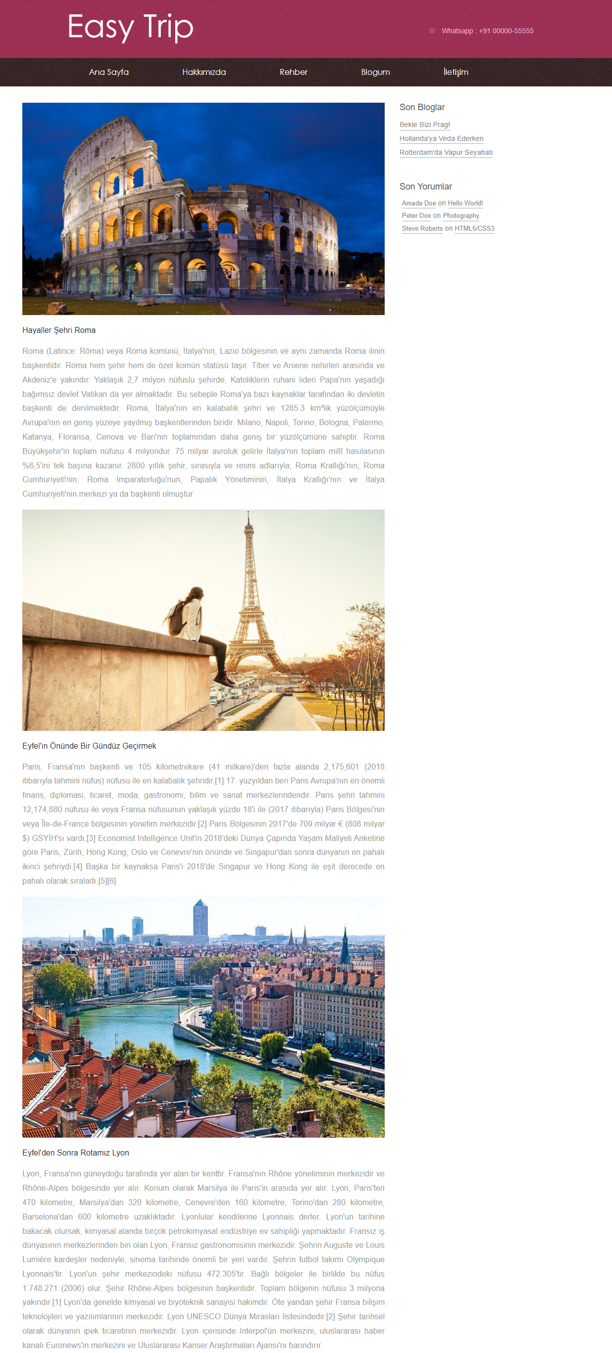 GitHub - acarnilsu/TravelTripProject