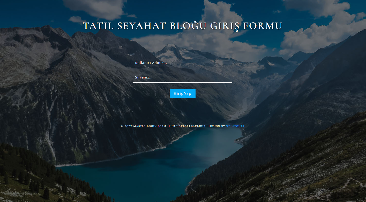 GitHub - acarnilsu/TravelTripProject
