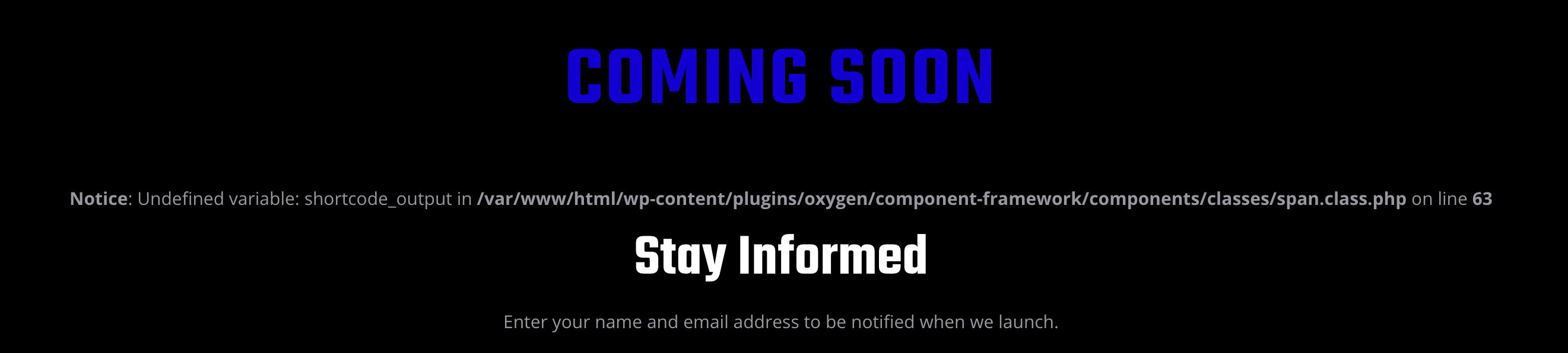 Notice: Undefined variable: shortcode_output · Issue #573 · soflyy ...