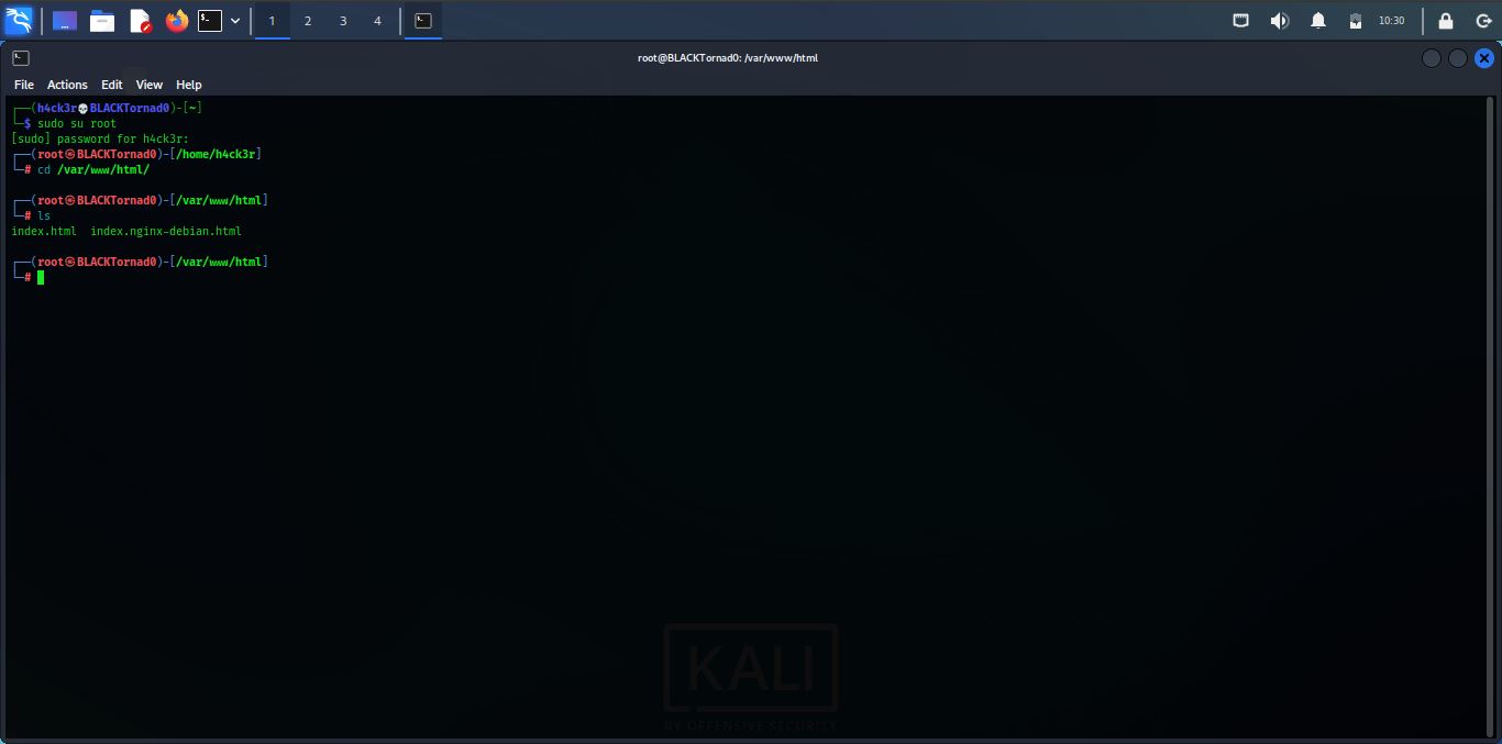 GitHub - blacktornad0/Customized-Apache2-Homepage: This looks cool and amazing...! Check it out.