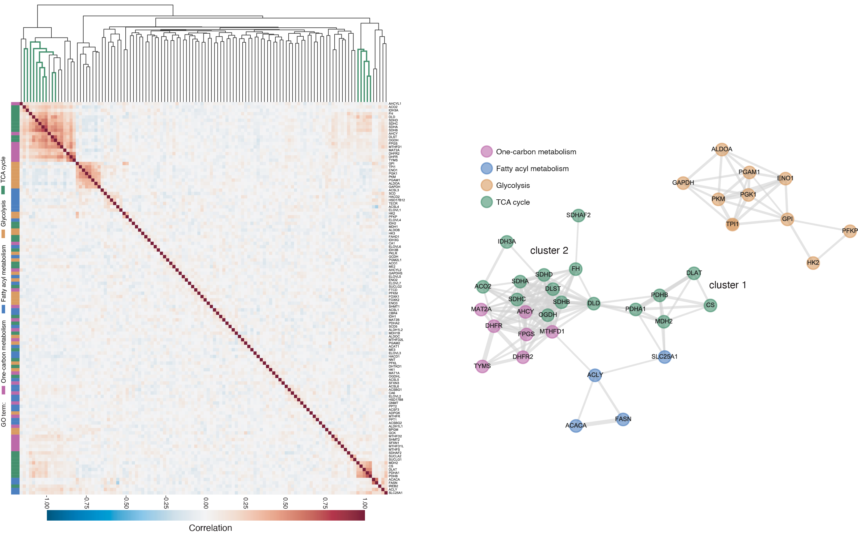 GitHub - finley-lab/coessentiality-network: A tool for genetic co-essentiality network analysis ...