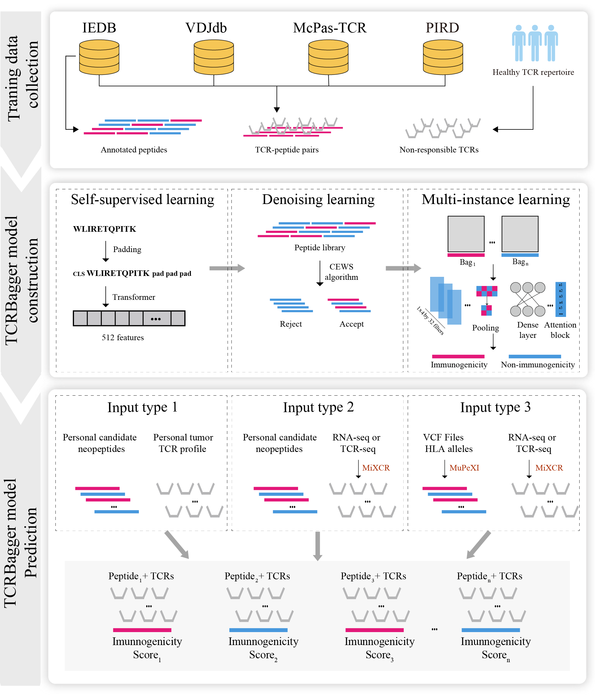 GitHub - bm2-lab/TCRbagger: TCRbagger