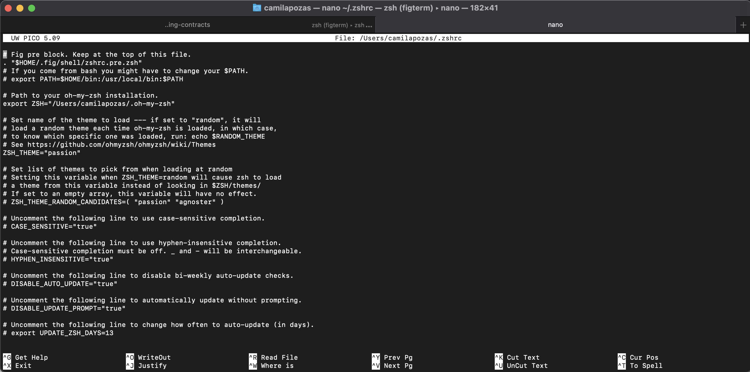 Autocomplete window flickers off after ~1 sec · Issue #1373 · withfig/fig · GitHub