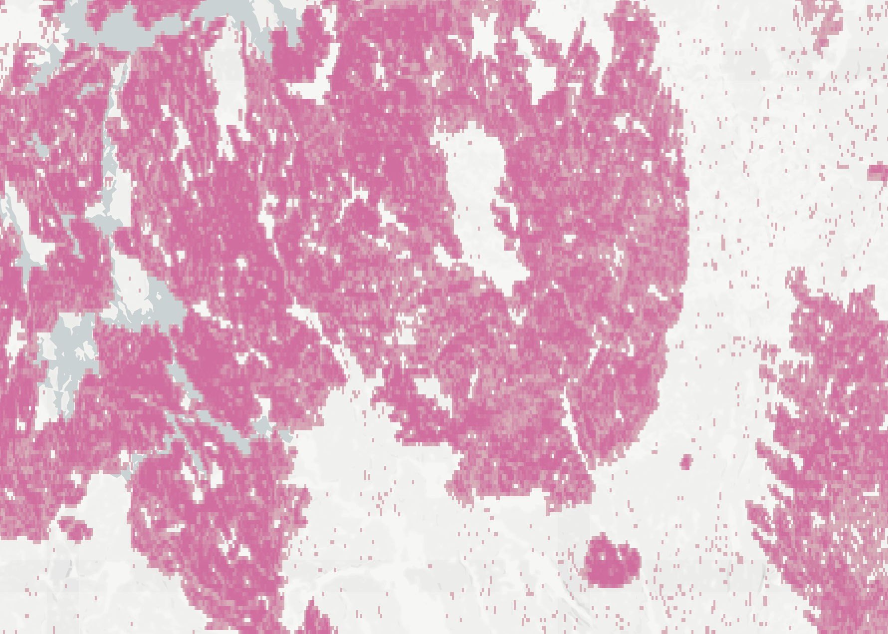 TileLayer with BitmapLayer · Issue #2713 · visgl/deck.gl · GitHub