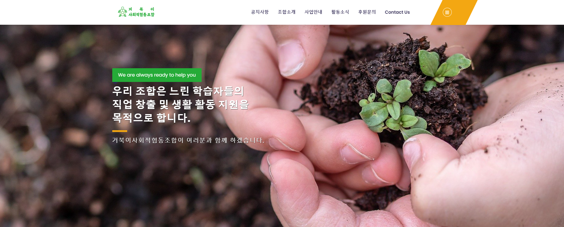 GitHub - growthproper/Web_TurtleMan