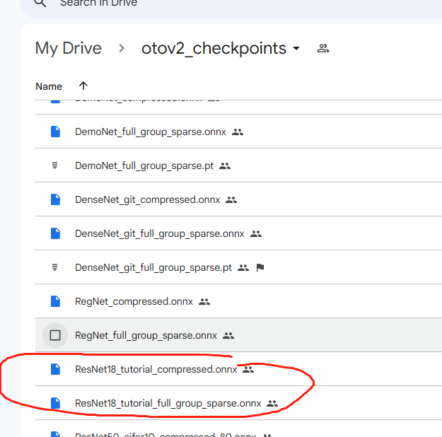 The compressed onnx model can't run inference. · Issue #13 · tianyic/only_train_once_personal ...