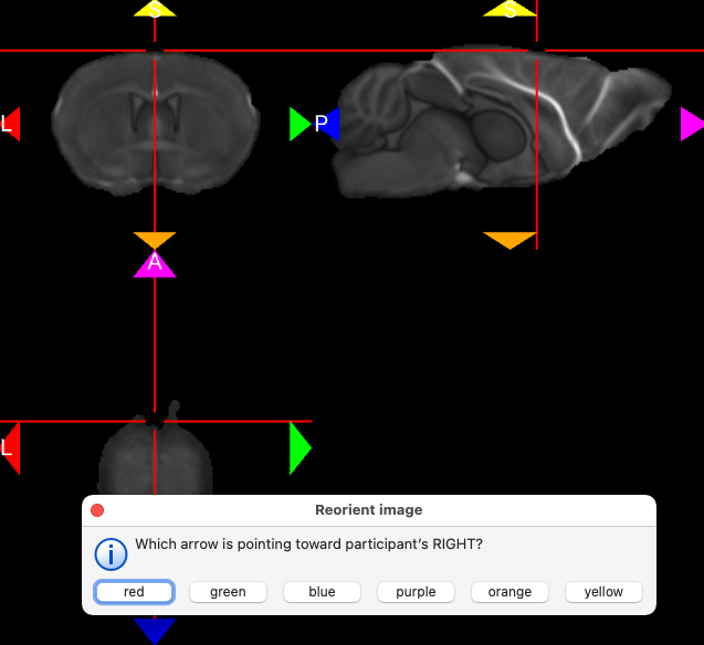 Error: Anatomical Orientation Type (0010,2210) is QUADRUPED: rotate ...