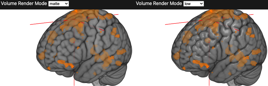 Shiny volume rendering · Issue #640 · niivue/niivue · GitHub