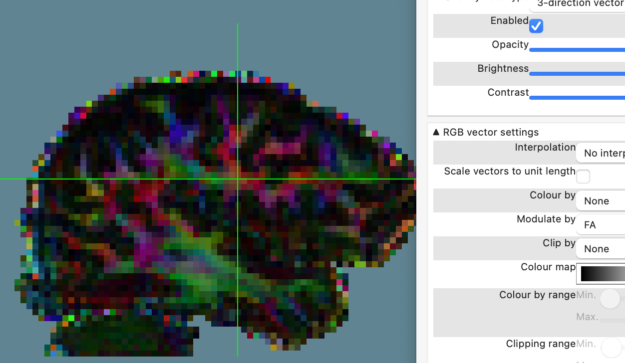 Image modulation issues · Issue #733 · niivue/niivue · GitHub