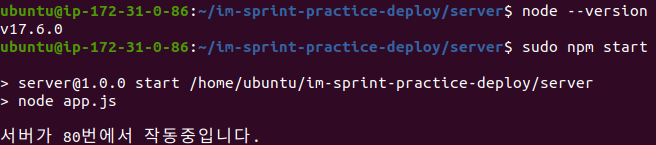 EC2 인스턴스에서 서버가 실행되지 않는 문제 | SsankQ's DevLog
