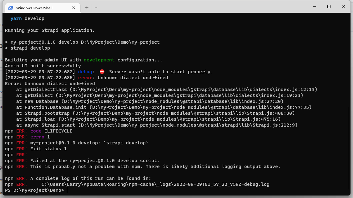 Server wasn't able to start properly · Issue #14488 · strapi/strapi · GitHub