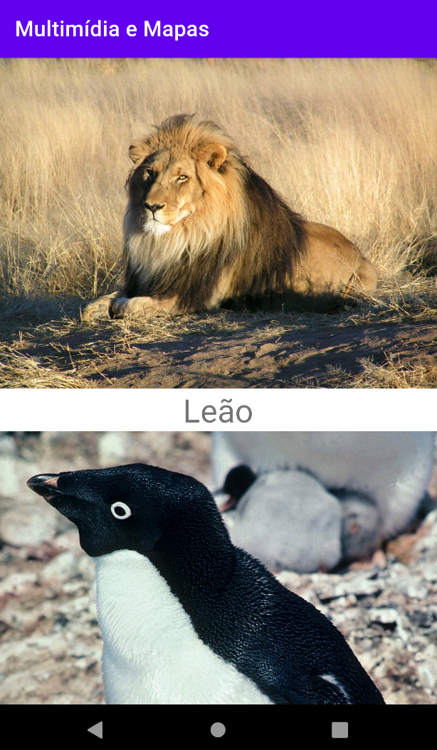 GitHub - sandronakamura/QuintaAulaAndroidMultimidias