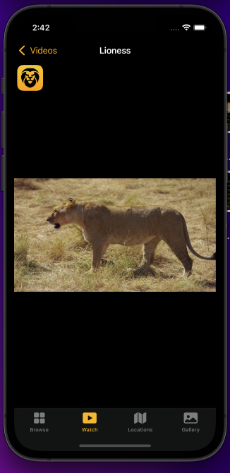 GitHub - Dhananjay92/SwiftUISampleProject-Africa