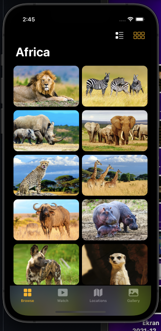 GitHub - Dhananjay92/SwiftUISampleProject-Africa GitHub - Dhananjay92/SwiftUISampleProject-Africa
