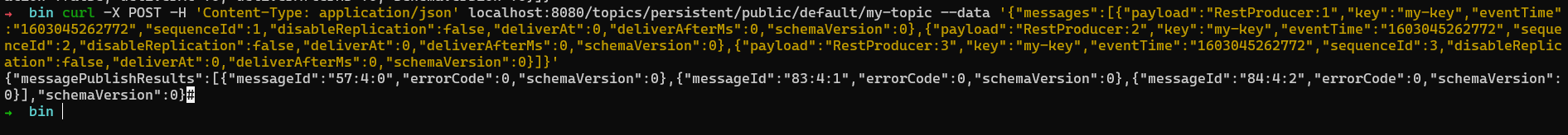REST API send message fail: cannot look up topic · Issue #15484 · apache/pulsar · GitHub
