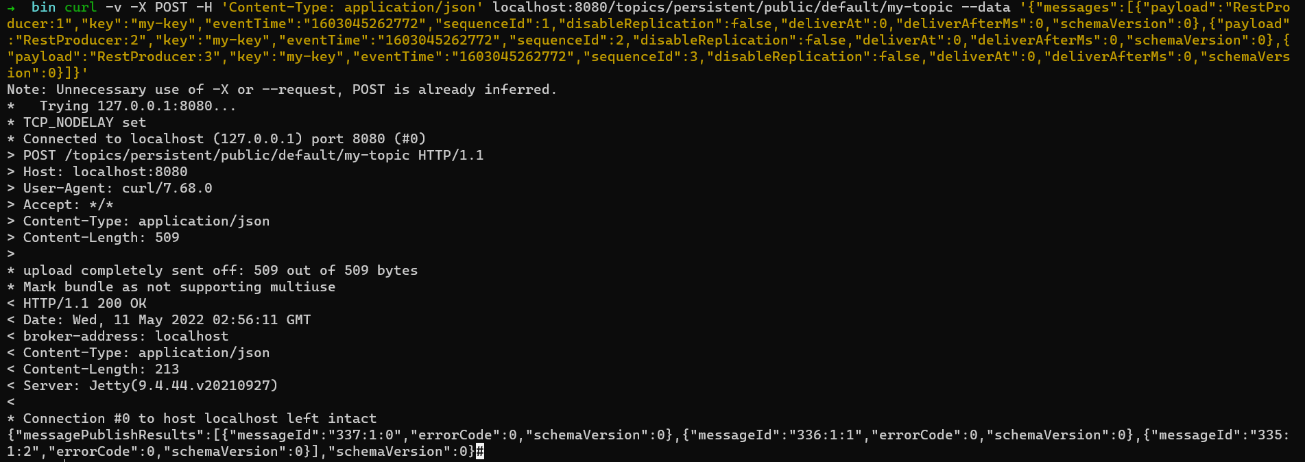 REST API send message fail: cannot look up topic · Issue #15484 · apache/pulsar · GitHub